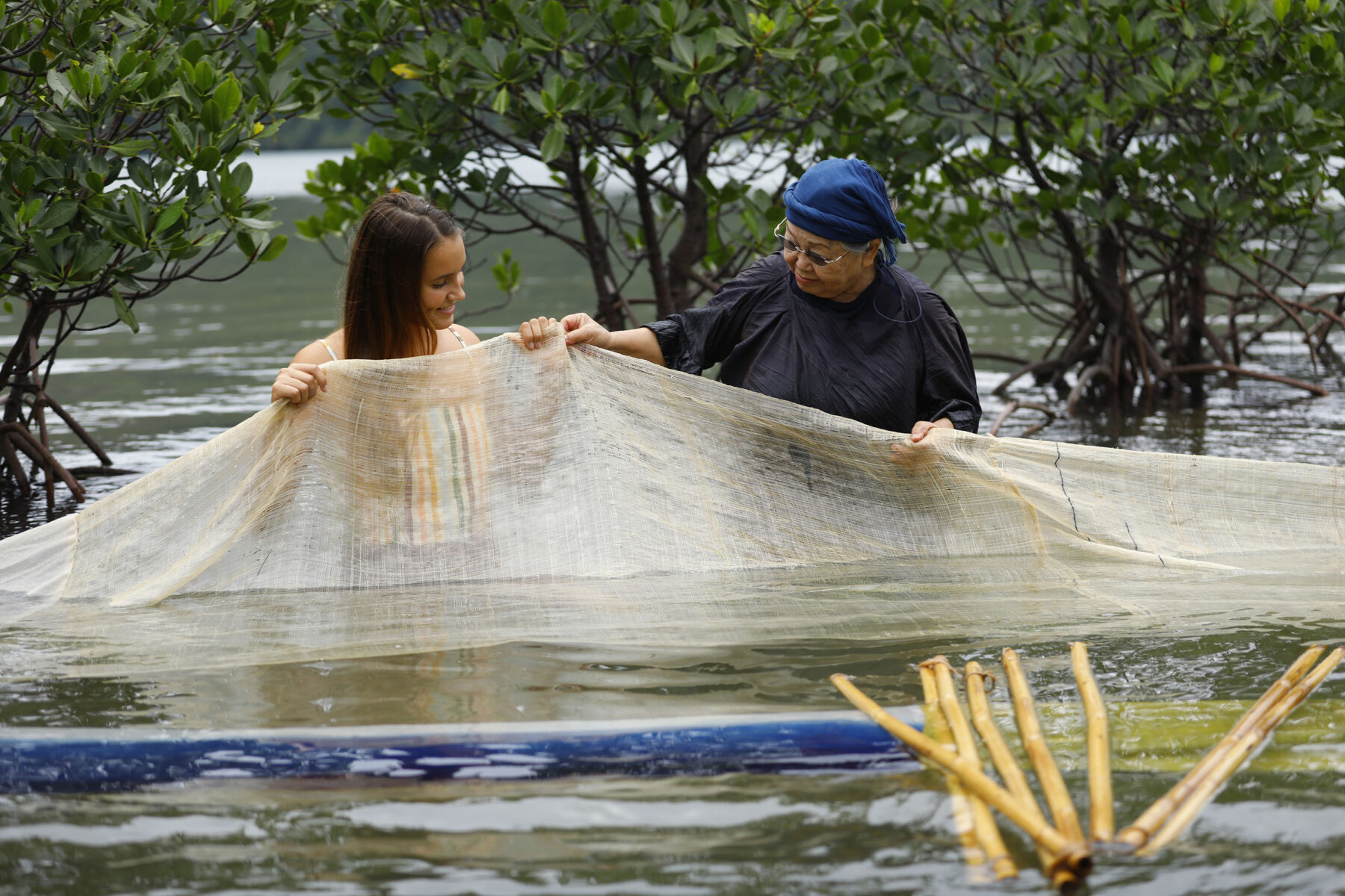 Pacha Light : les ailes du colibri - Surf Session