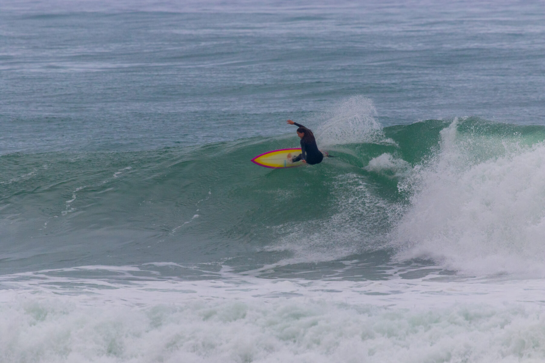 Pacha Light : les ailes du colibri - Surf Session