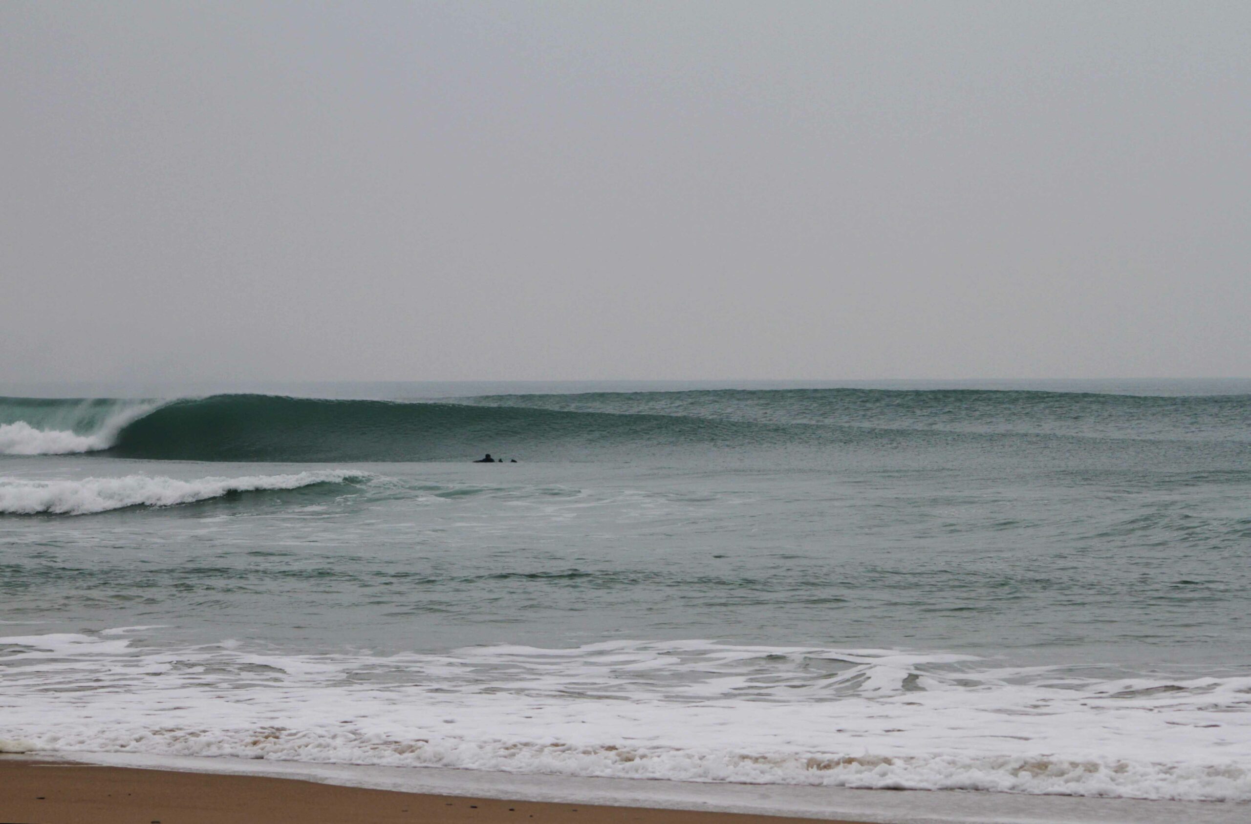 L'actu surf de février/mars en Normandie - Surf Session