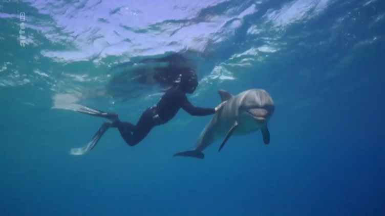 Jacques Mayol, l'homme dauphin - Surf Session