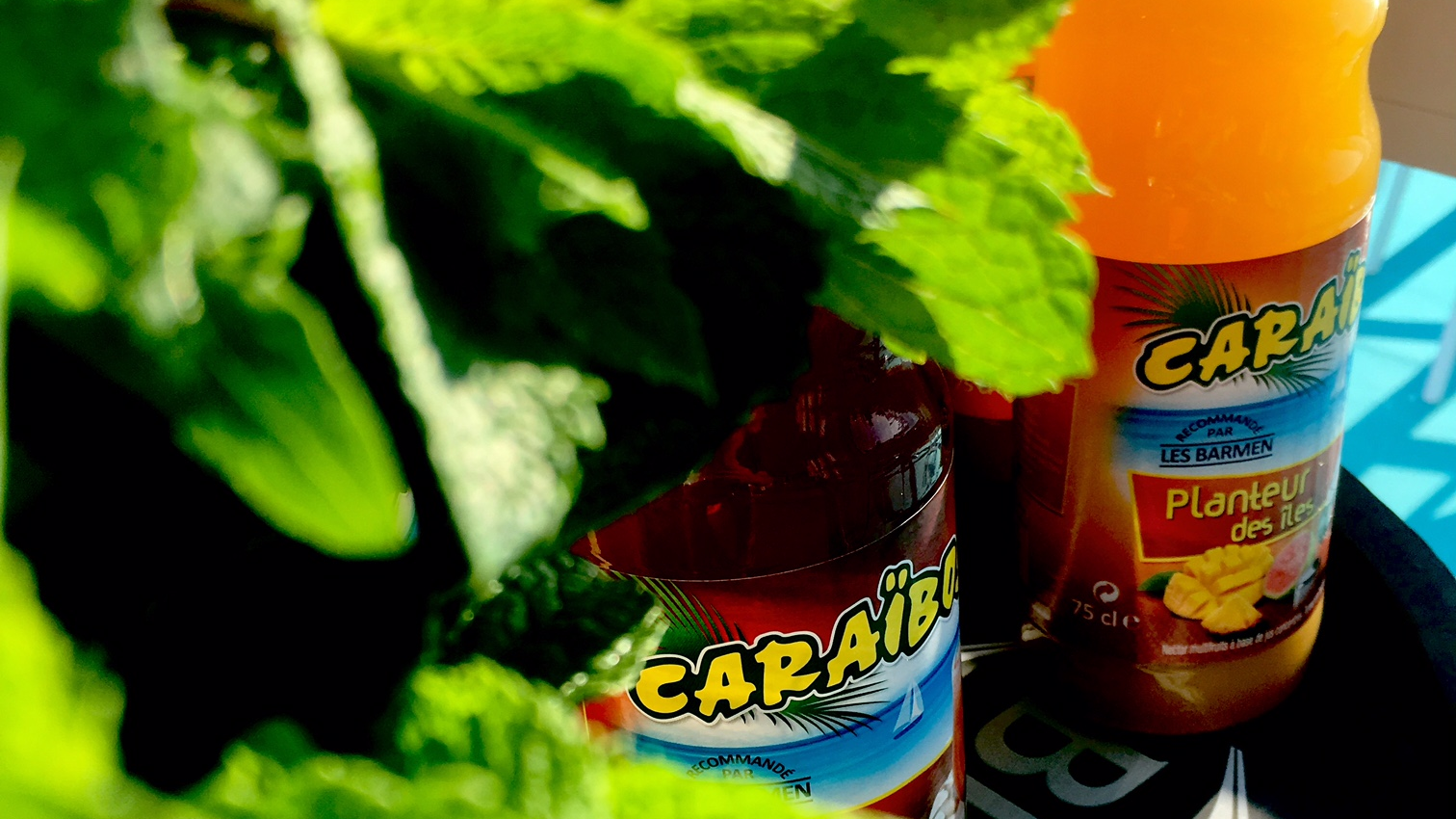 Caraïbos : L'expert du fruit exotique et du cocktail - Surf Session