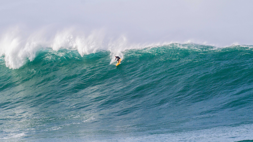 Portfolio : belle session à la rame à Belharra ! - Surf Session