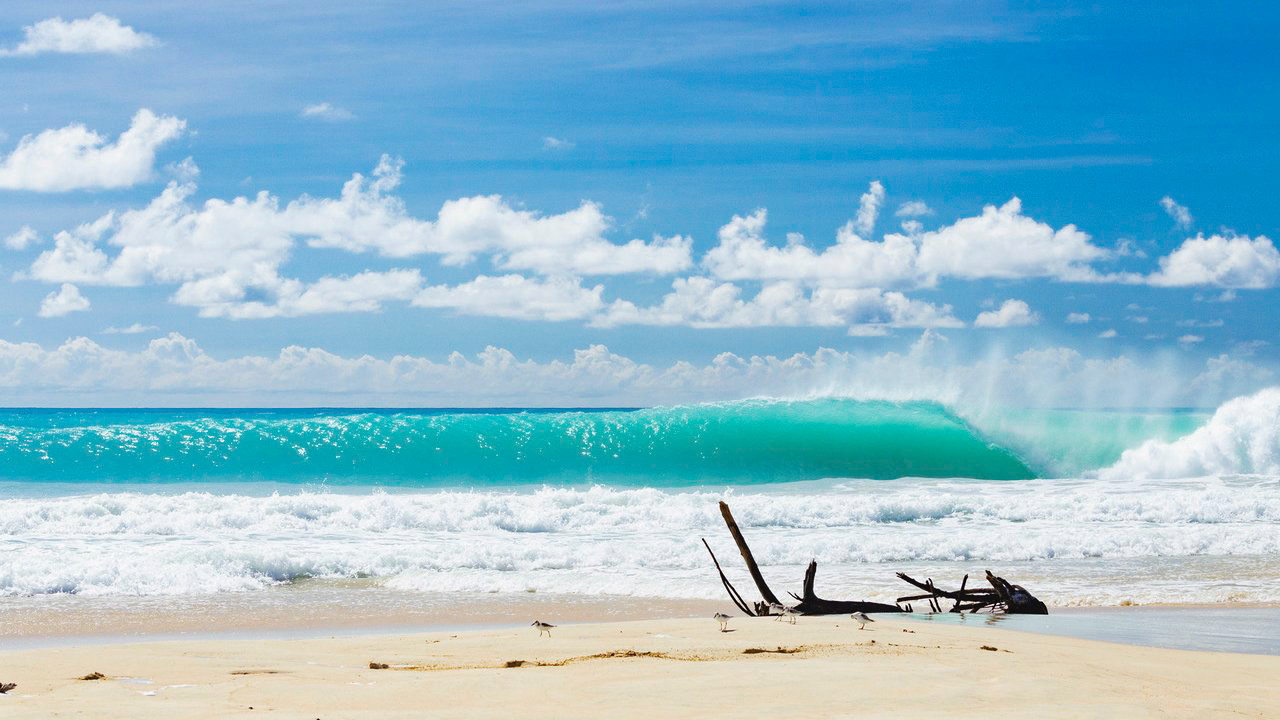 "Save Barbuda", la résistance s'organise pour sauver l'île - Surf Session