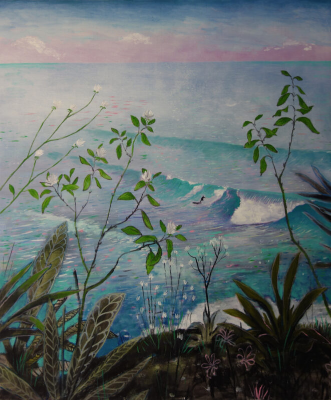 Peter de Boer : une nouvelle connexion au monde - Surf Session