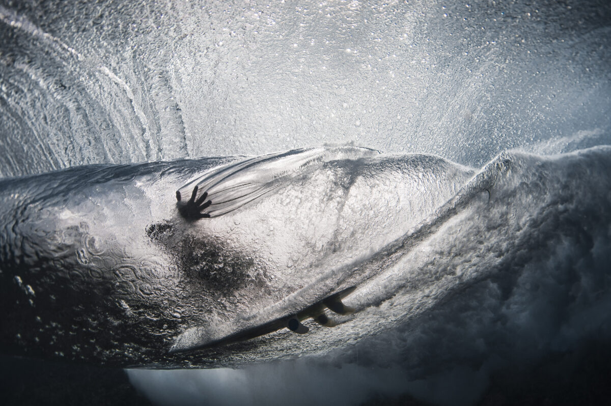 Entretien avec le photographe Tim McKenna, expert à Teahupo'o - Surf ...