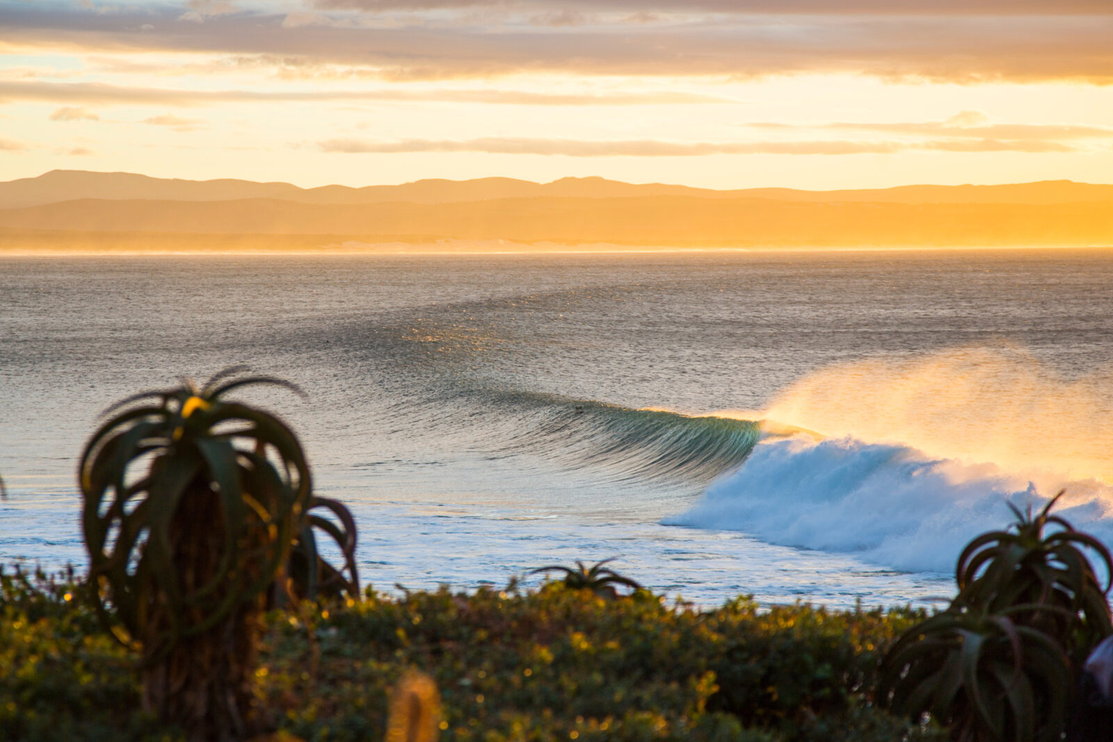 La WSL révèle le calendrier 2025 du Championship Tour - Surf Session