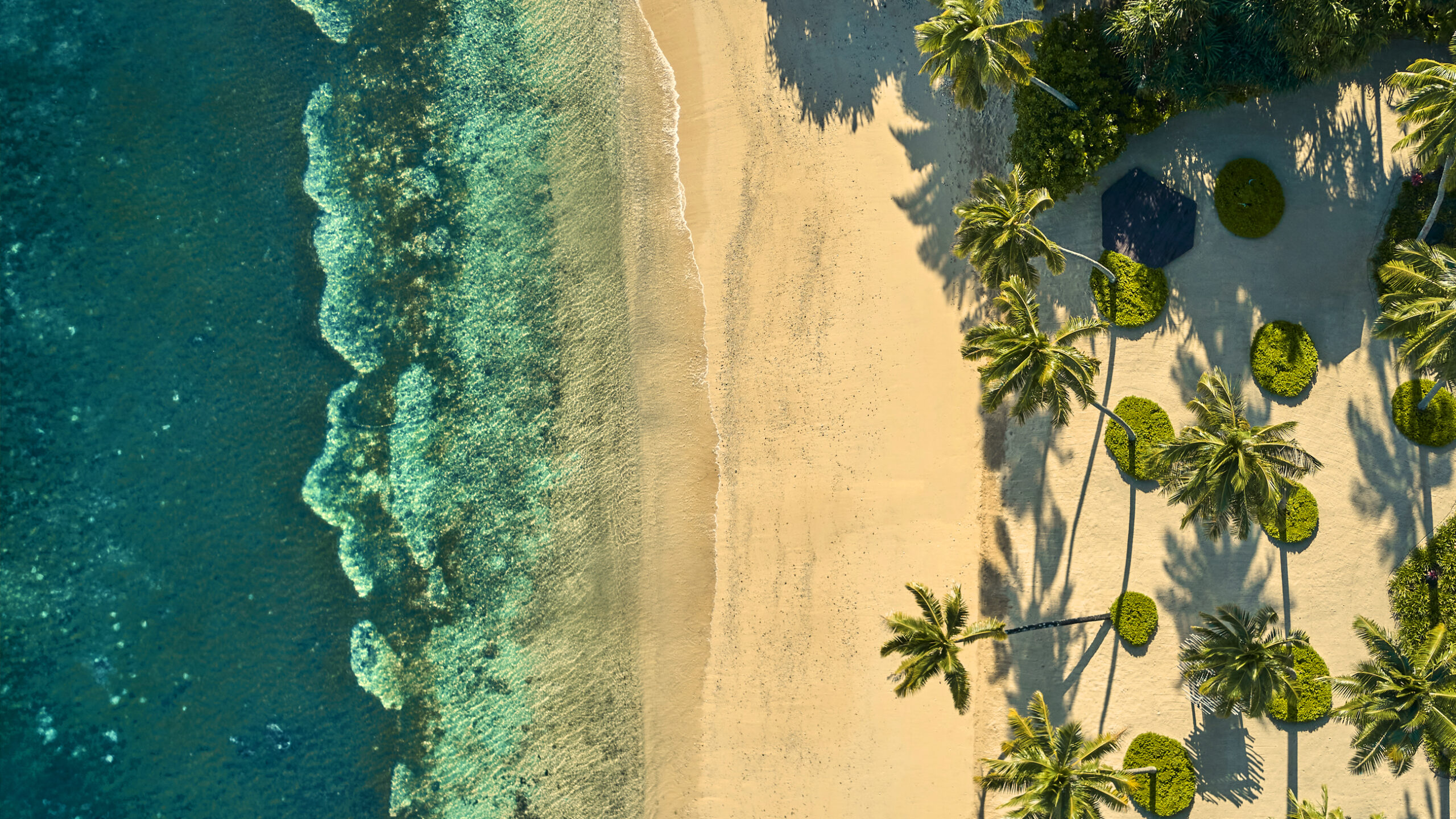 Où surfer l'hiver? 7 destinations soleil à découvrir - Surf Session